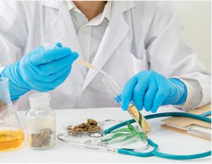 Employment Drug Screening Service Florida - DrugTesting.com